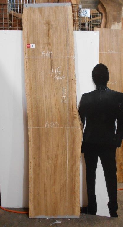 Large Timber Slab - Lemon Scented Gum Auction (0007-5048094) | Grays ...