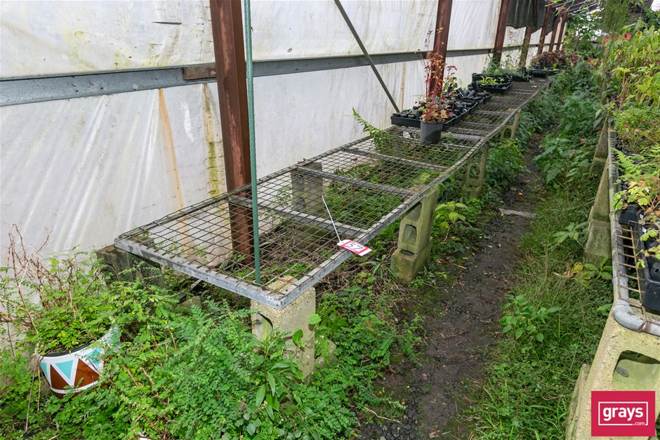 Assorted Plant Bed Frame Top Includes Plants Auction (0037-5048732 ...
