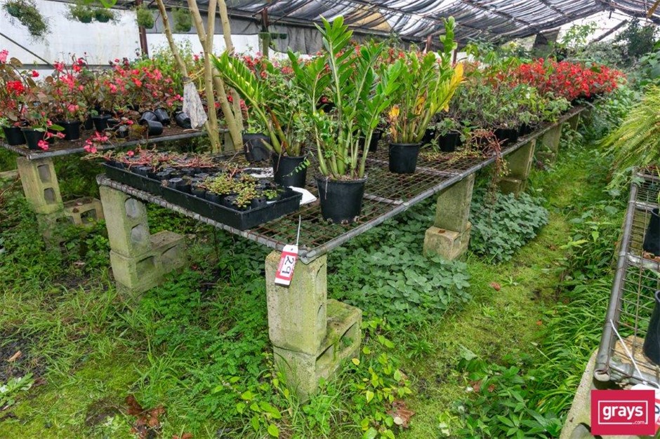 Plant Bed Frame Top Includes Plants Auction (0029-5048732) | Grays ...