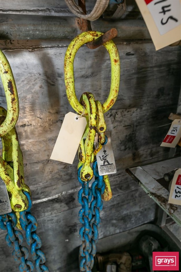 Single Leg Lifting Chain Auction (0101-5048830) | Grays Australia