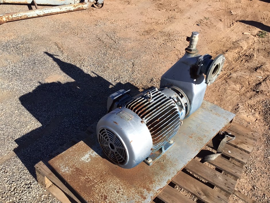 Regent Pumps Water Pump Auction (0071-3022553) | Grays Australia