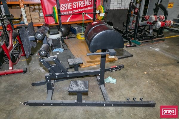 Aussie Strength Sit Up Machine Auction (0041-5050356) | Grays Australia