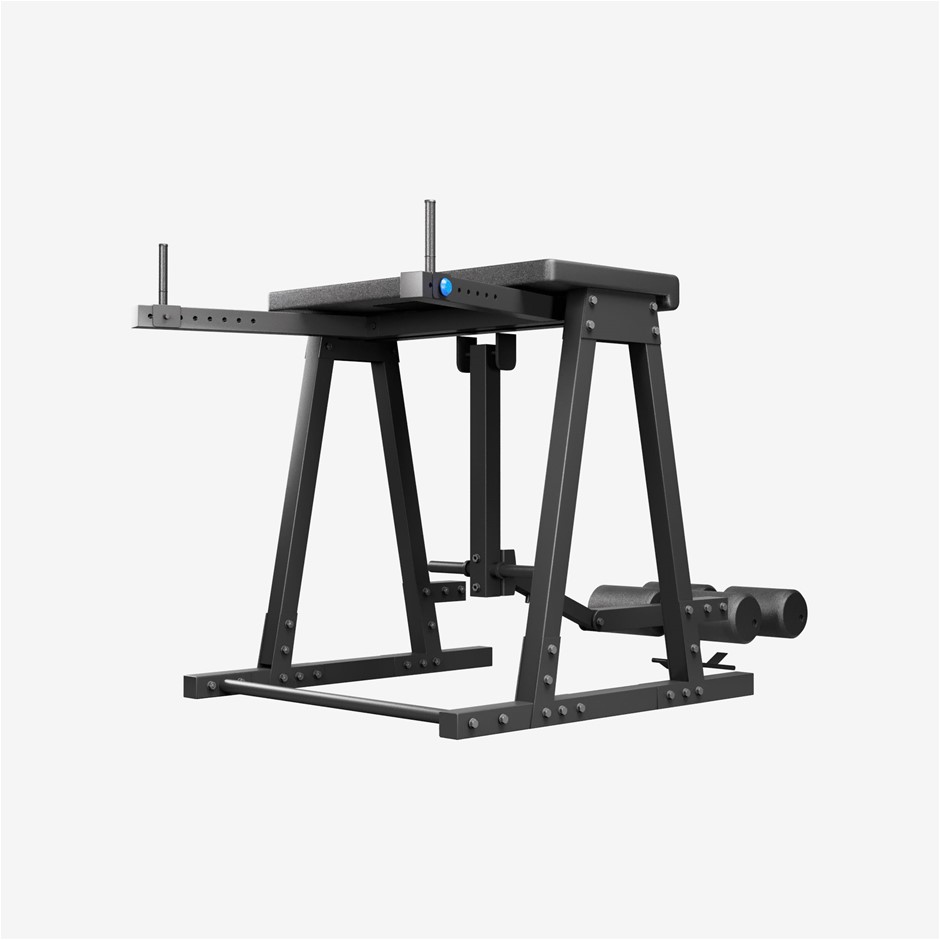 RHE Reverse Hyper Extension Auction (0008-5050456) | Grays Australia