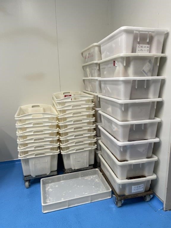 Poly bins and dollies Auction (0214-5051836) | Grays Australia