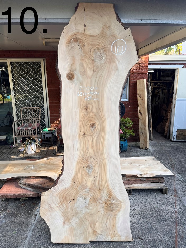 Large Timber Slab -Himalayan Cedar Auction (0010-5053530) | Grays Australia