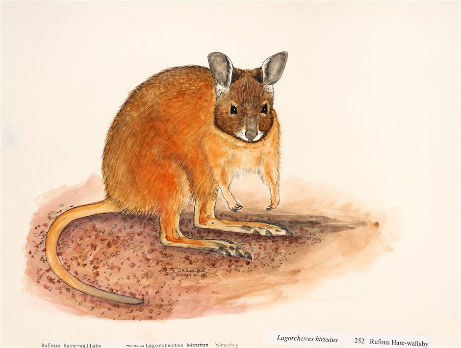 JIM TURNER, Original Mixed Media (Ink Sketch And Watercolour Painting ...