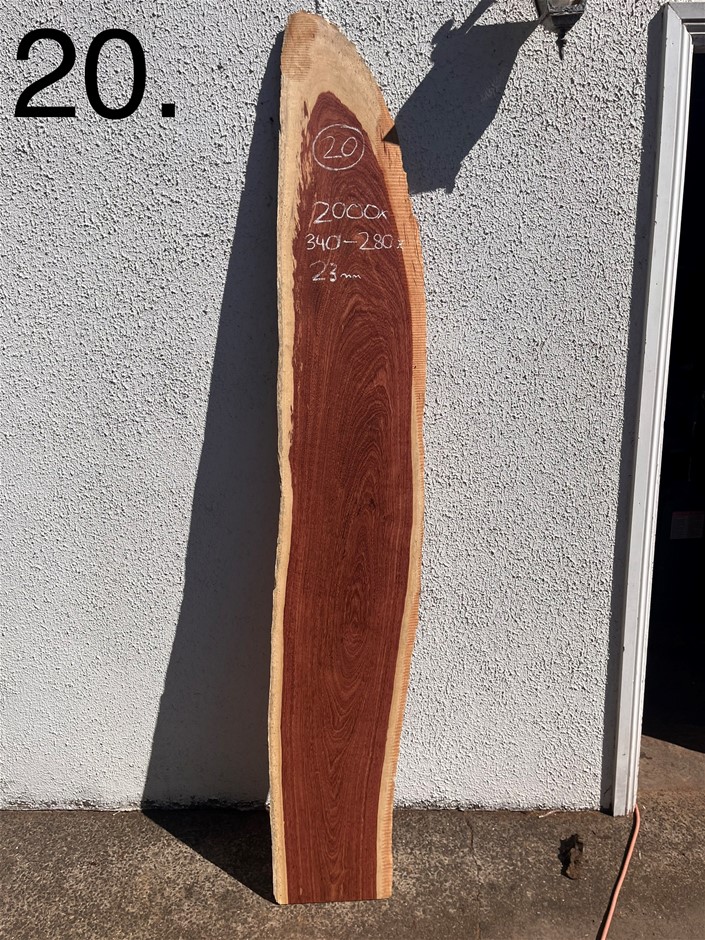 Mackay Cedar Timber Slab Auction (0020-5054448) | Grays Australia