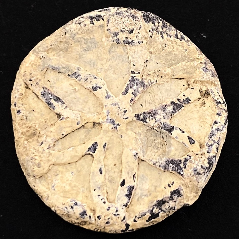 ANCIENT MEDIEVAL TRADERS CLOTH SEAL FEATURING A FLOWER DESIGN Auction ...