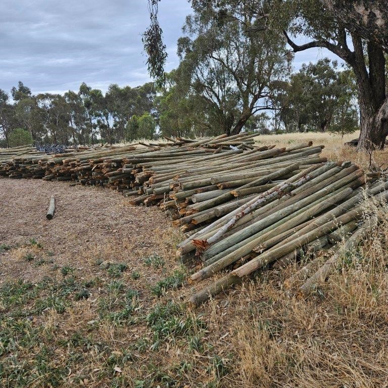 Large Quantity of Treated Pine Timber Posts Auction (0403-3027813 ...