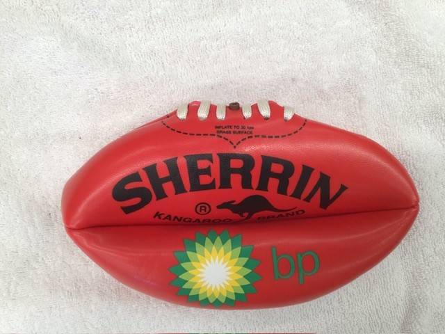 1 x Box Sherrin-PVC 20CM Mini Promo Footballs Auction (0076-9047509 ...