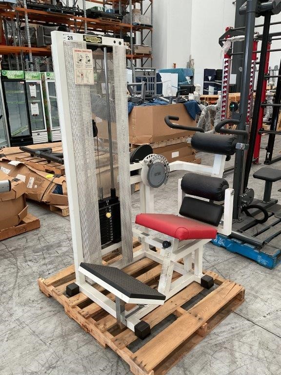 1x TechnoGym Abdominal Crunch Machine Auction (0001-3028048) | Grays ...