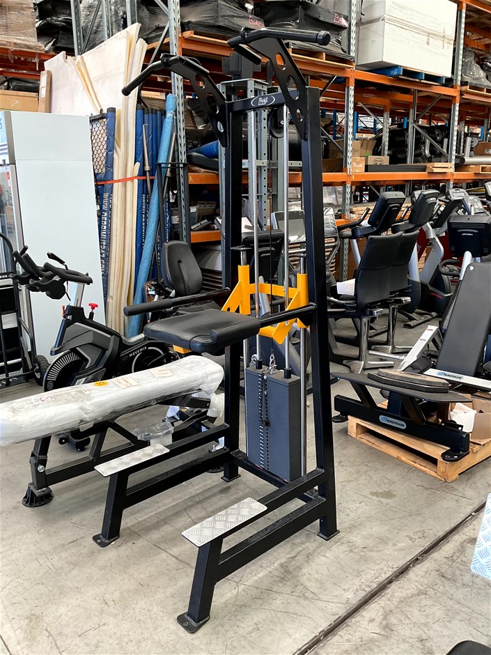 1x Proflex Assisted Chin Up/Dip Machine Auction (0182-3028048) | Grays ...