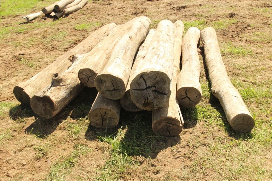 10x Assorted Seasoned Hardwood Timber Logs Auction (0164-5055468 ...