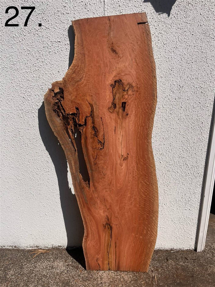 Red Gum Timber Slab Auction (0027-5055775) | Grays Australia