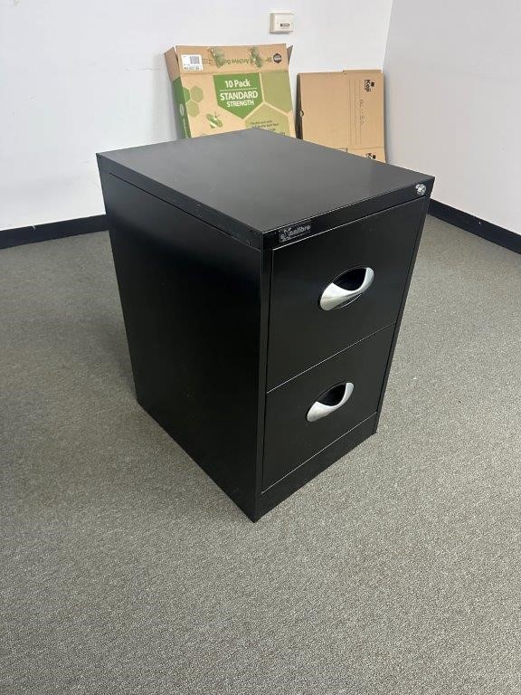 2 Draw Filing Cabinet Auction (0063-3029408) | Grays Australia
