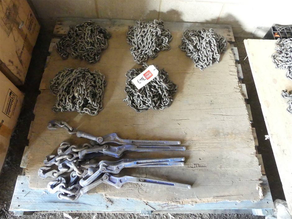 Spanset 5 x Chain Dogs Auction (0343-5056813) | Grays Australia