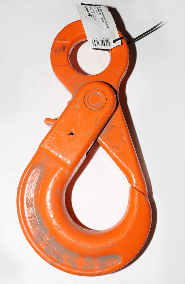 PEWAG Self-Locking Eye Type Lifting Hook 22mm, Grade 100. Auction ...