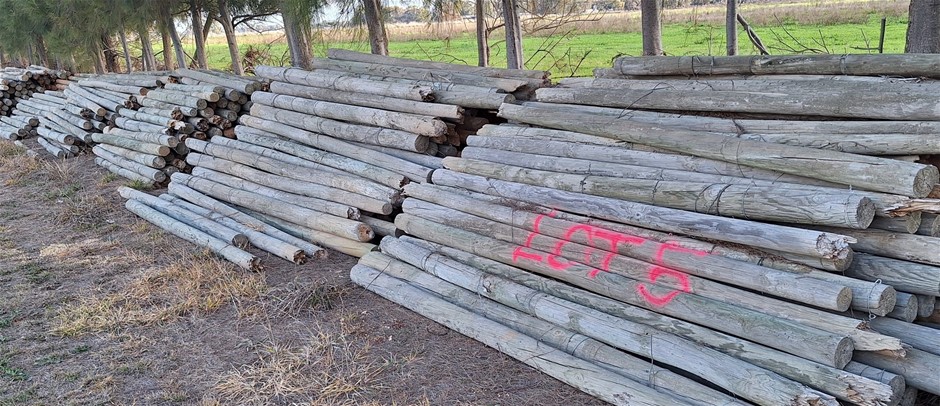 Approximately 1000 x Used Pine Posts Assorted Lengths 2m+ Auction (0005 ...