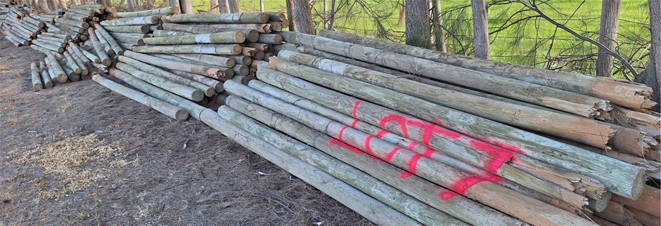 Approximately 1000 x Used Pine Posts Assorted Lengths 2m+ Auction (0007 ...