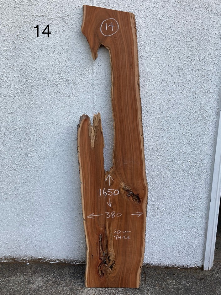 River Cooba Timber Slab Auction (0014-5058044) | Grays Australia