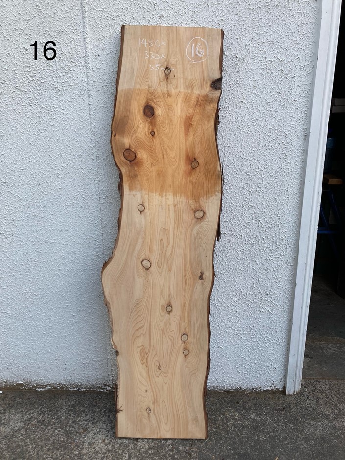 Tasmanian Macrocarpa Timber Slab Auction (0016-5058044) | Grays Australia