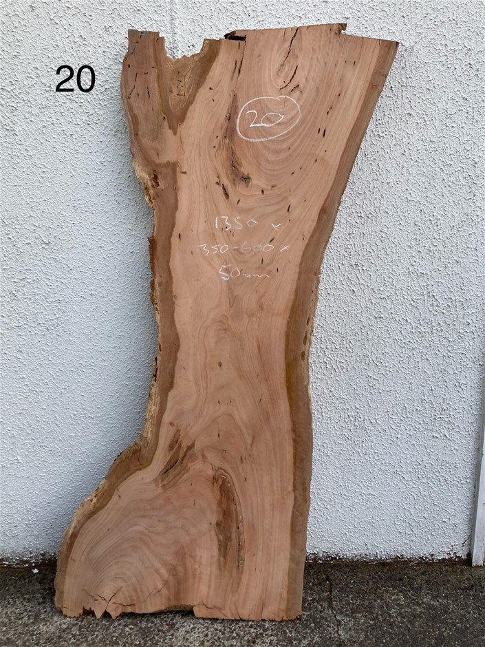 Southern Mahogany Timber Slab Auction (0020-5058044) | Grays Australia