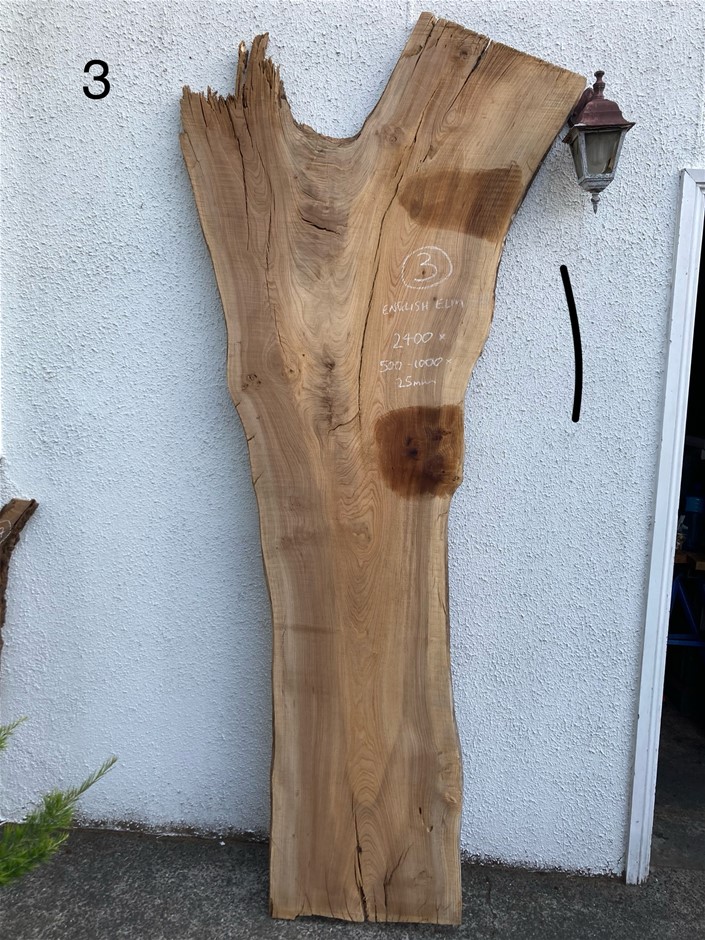 English Elm Timber Slab Auction (0003-5058044) | Grays Australia