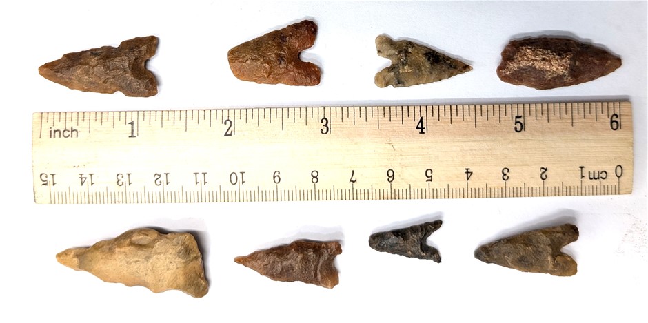 Eight NEOLITHIC Stone Age ARROWHEADS from Africa Auction (0021-2563427 ...