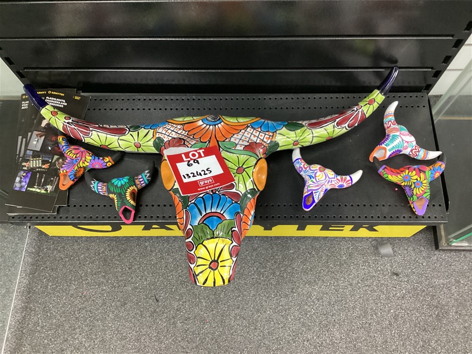 Display Bull Head x6 Auction (0069-7056395) | Grays Australia