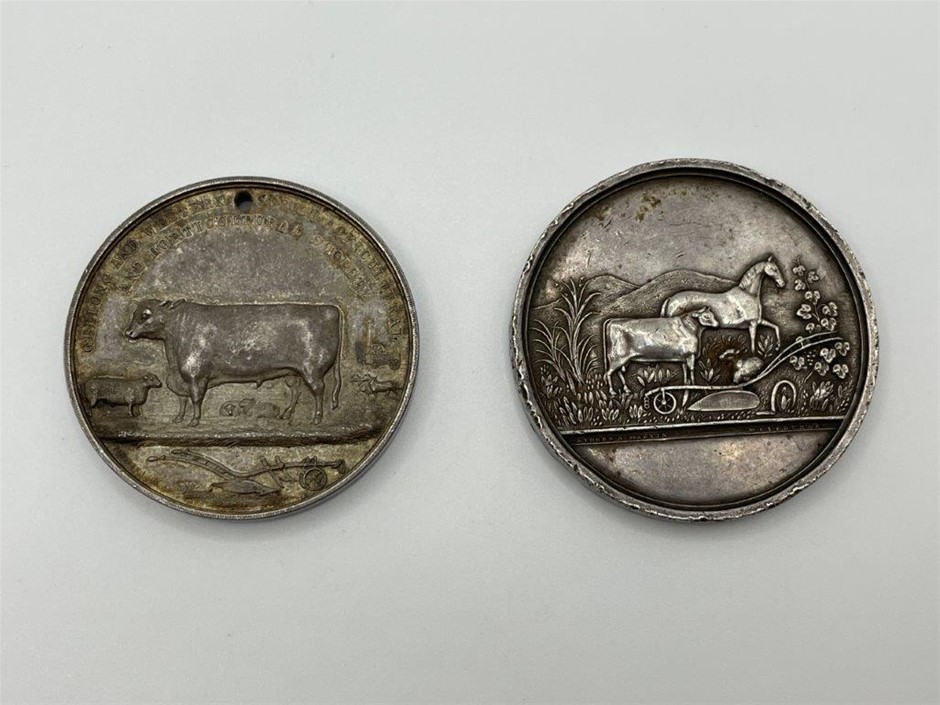 2 x Agric Silver Medals Cir.1864-1870s incl Geelong & Western Auction (6321-5059161) | Grays ...