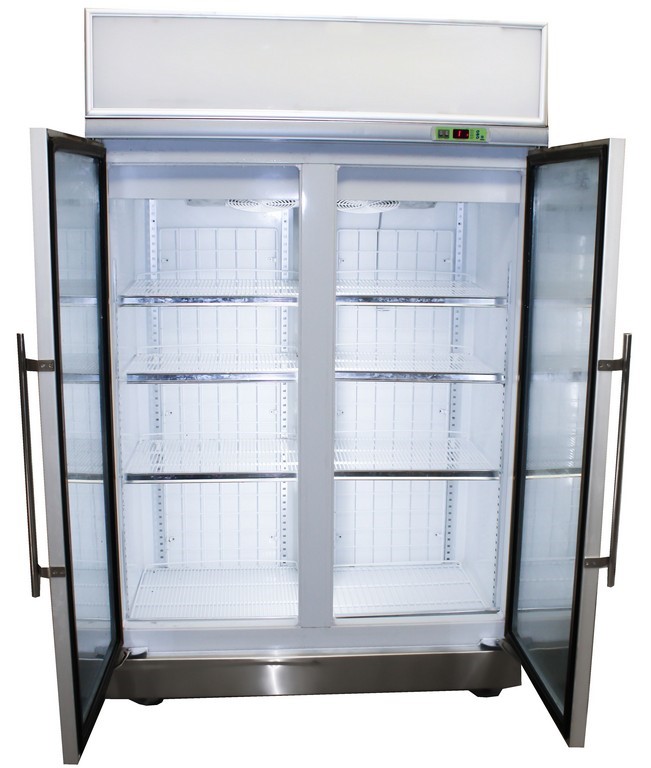 STREAMLINE UPRIGHT 2 GLASS DOOR FREEZER Auction (0016-5060801) | Grays ...